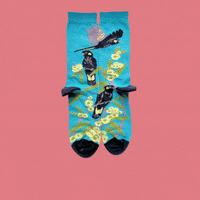The Sockery | Shop Socks Online