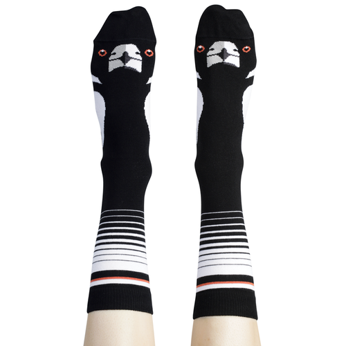 Australian Magpie Socks | Eco-Friendly Design